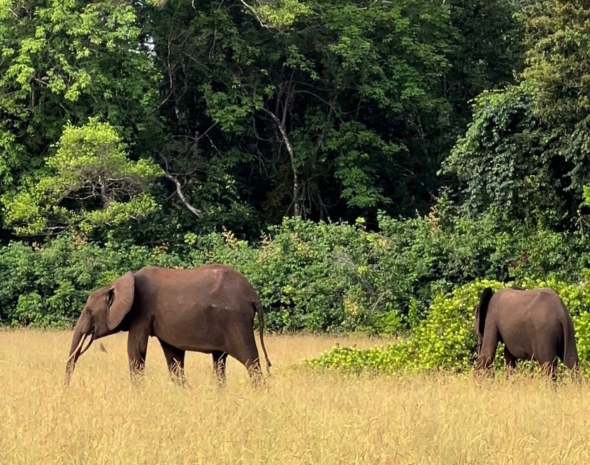 Visit.gabon – Tourism
